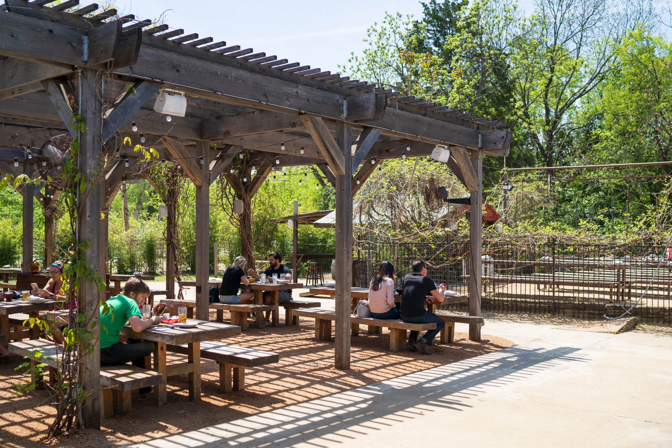 Top 10 Places in Dallas to Have an Outdoor Meeting - Bold Entity